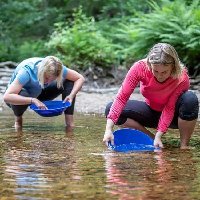 Dals Långed: Gold Panning Experience - An In-Depth Look at the Gold Panning Experience