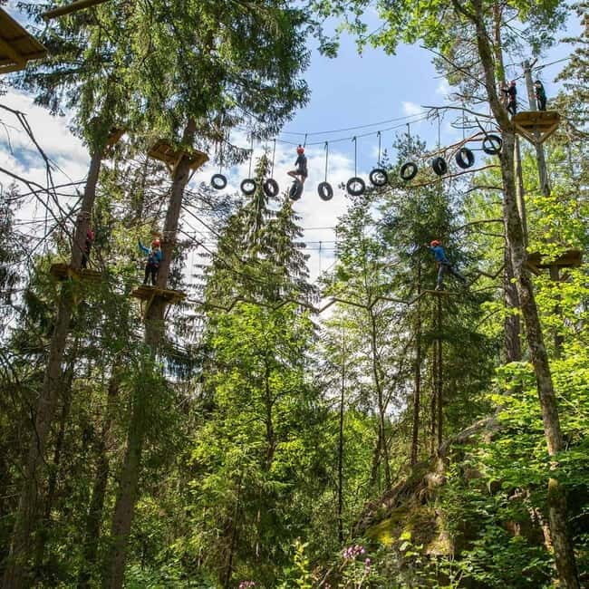 Dals Långed: High Ropes Adventure for Adults and Kids - An Overview of the Experience