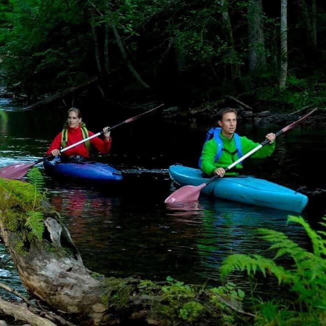 Dals Långed: Steneby River Kayaking Tour - Exploring Dals Långed: A Closer Look at the Steneby River Kayaking Tour