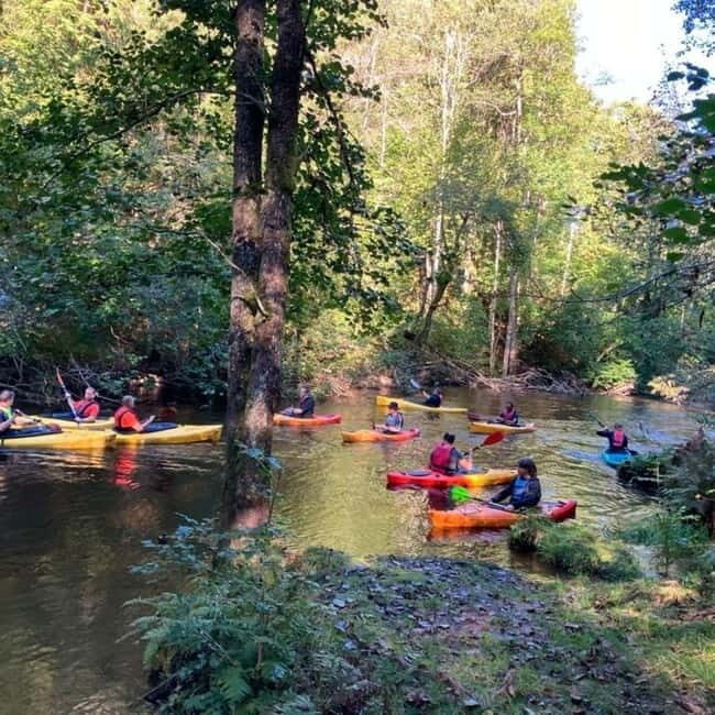 Dals Långed: Steneby River Kayaking Tour - Key Points