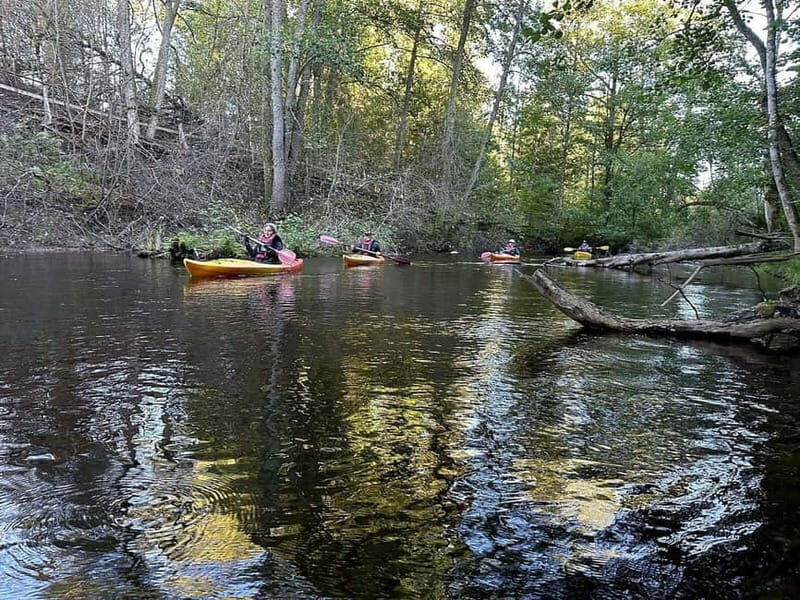 Dals Långed: Steneby River Kayaking Tour - What to Expect: A Detailed Look at the Itinerary