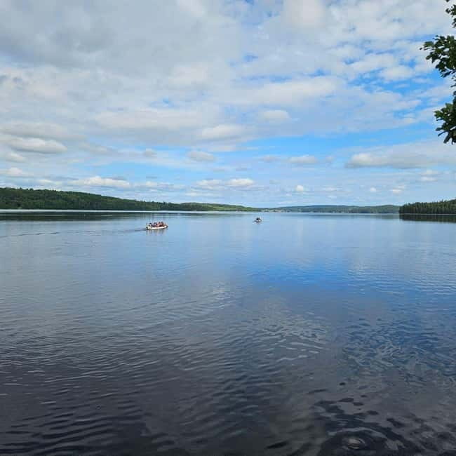 Dals Långed: Steneby River Kayaking Tour - The Sum Up: Is This Experience Worth It?