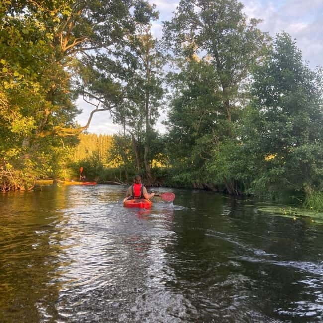 Dals Långed: Steneby River Kayaking Tour - FAQ