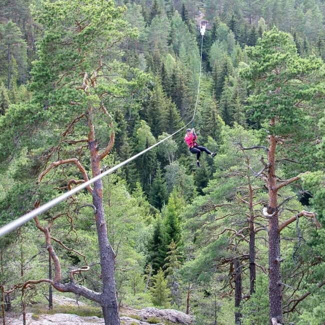 Dals Långed: Zipline Adventure at Steneby Gård - Views and Scenery