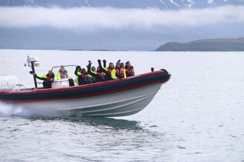Dalvík: Whale Watching Speedboat Tour - Exploring the Itinerary and What You’ll Experience