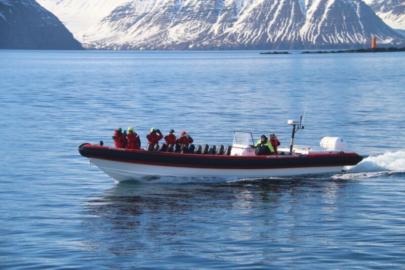 Dalvík: Whale Watching Speedboat Tour - Frequently Asked Questions (FAQs)