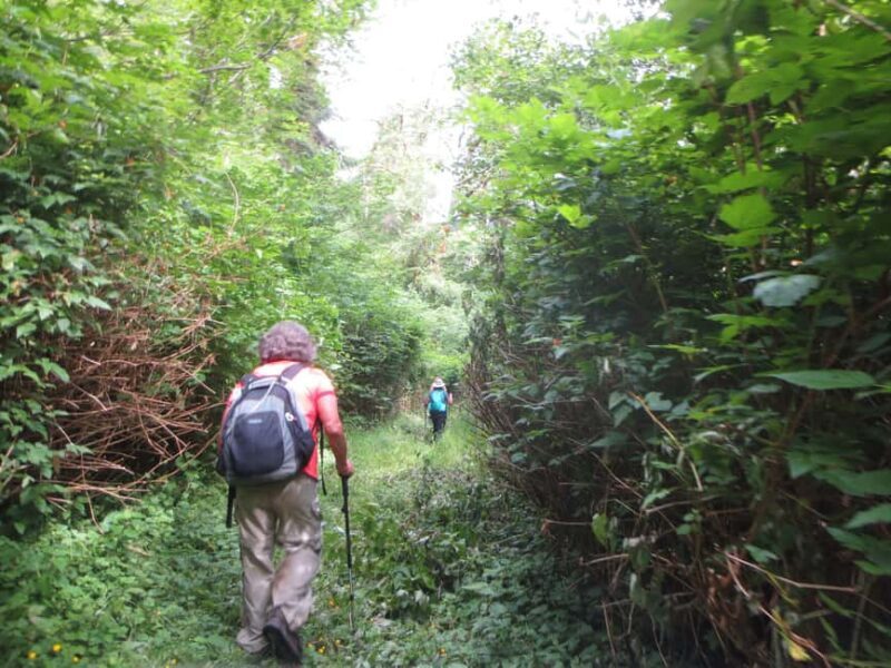 Damajagua: 27 Waterfalls Tour with Entrance Fee & Lunch - Guided Experience: Knowledgeable Local Guides