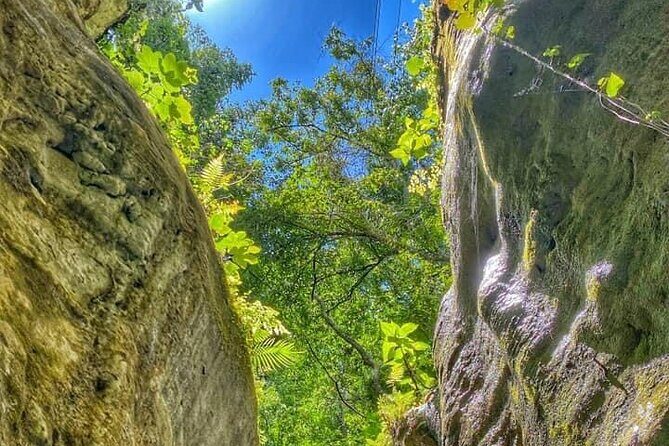 Damajagua The 7 waterfalls excursion - Amber Cove & Taino bay - Who Should Consider This Tour?