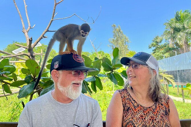 Damajagua Waterfalls and Monkey Private Van Tour - An Adventure Awaits: Exploring the Damajagua Waterfalls