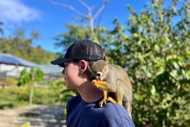 Damajagua Waterfalls and Monkey Private Van Tour - Lunch and Comfort: The Value of Included Amenities