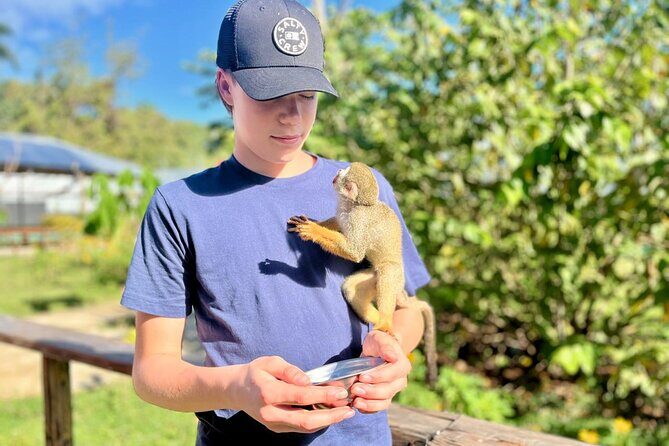 Damajagua Waterfalls and Monkey Private Van Tour - Why This Tour Is a Great Choice