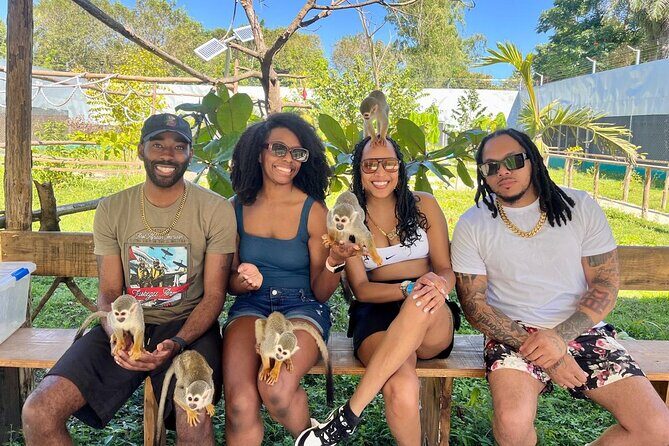 Damajagua Waterfalls and Monkey Private Van Tour - Who Would Love This Tour?