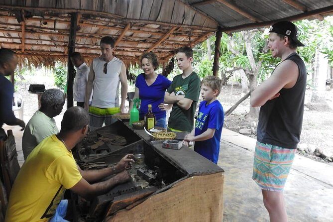 Damajagua Waterfalls for Amber Cove - Authentic Experiences and Traveler Insights