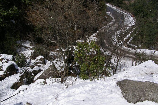 Daman Hill Tour from Kathmandu with Lunch and Guide - FAQ