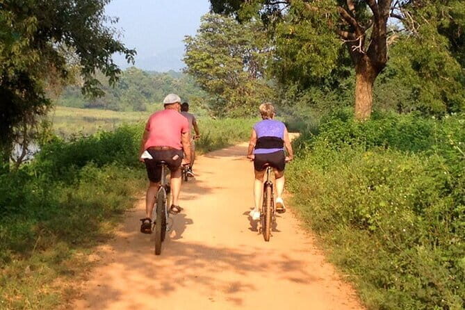 Dambulla and Sigiriya Cycling Tour from Kandy - The Sum Up