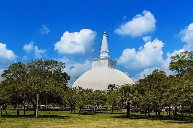 Dambulla City to Colombo (CMB) Airport Private Transfer - Final Thoughts