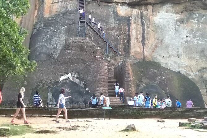 Dambulla, Sigiriya and National Park Safari Tour from Kandy - What to Expect in Terms of Cost and Comfort