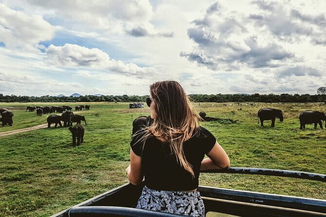 Dambulla to Trincomalee Shuttle & Safari Drive - An In-Depth Look at the Tour