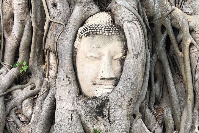 Damnoen Saduak Famous Floating Market and Mea Klong Railway Tour - Return to Bangkok and Reflection
