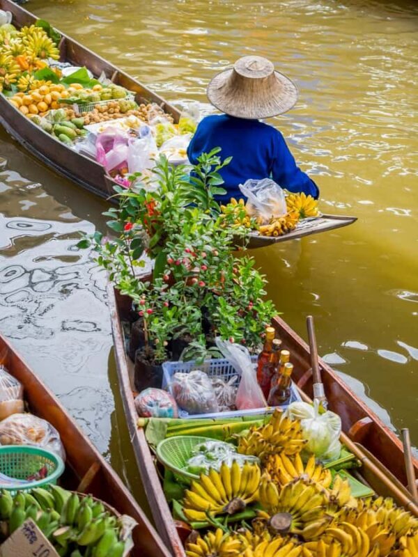 Damnoen : Train Market,Canal Life & Suspension Bridge Scenic - Key Points