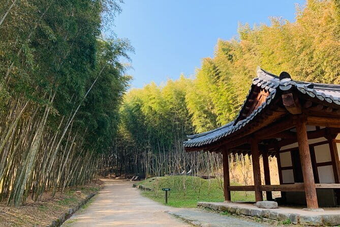 Damyang Bamboo Forest Tour (Private) - Starting Point and Transportation