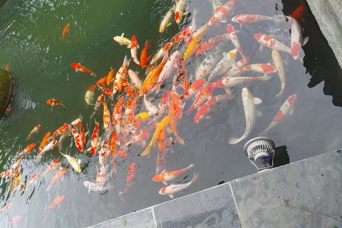Danang Historical & Hindu Culture Explore Beachside Seafood Lunch - Key Points