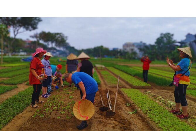Danang Historical, Rural Sights Tour with Beachside Seafood Lunch - Key Points