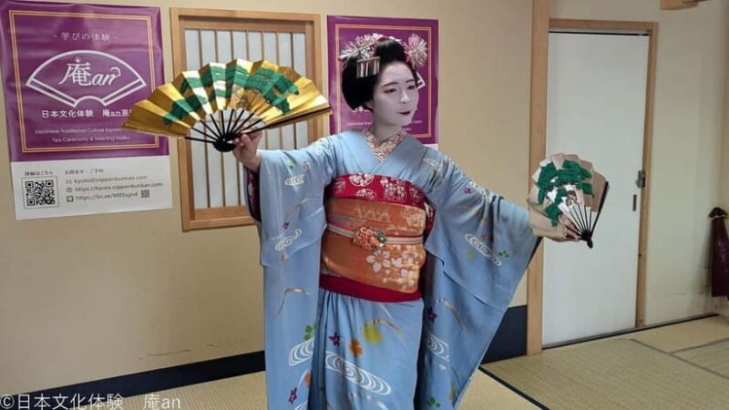 Dance and Game with Maiko - A Closer Look at What You Can Expect