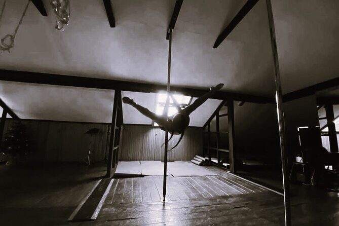 Dance Class (choose 1: Pole Dance, Burlesque or Aerial Silk/Hoop) - Pricing and Value