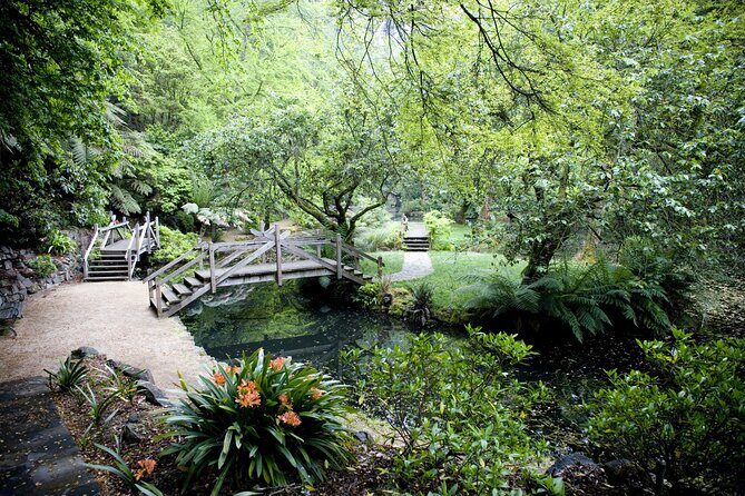 Dandenong Ranges Private Day Tour - The Experience from a Traveler’s Perspective