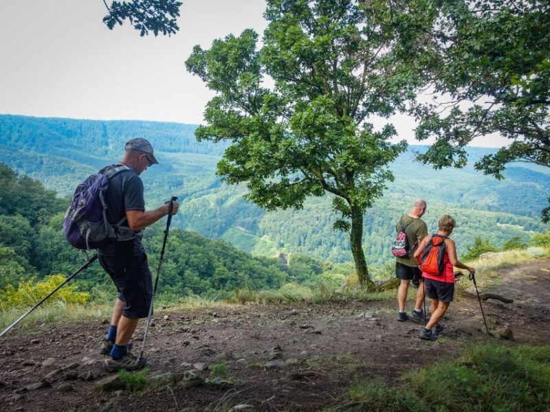 Danube Bend: Full-Day Hiking Tour from Budapest - An In-Depth Look at the Tour Experience