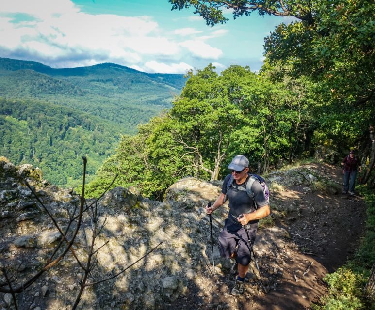 Danube Bend: Full-Day Hiking Tour from Budapest - Summary of the Experience