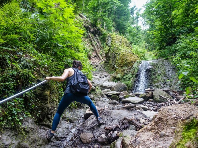 Danube Bend: Full-Day Hiking Tour from Budapest - FAQs