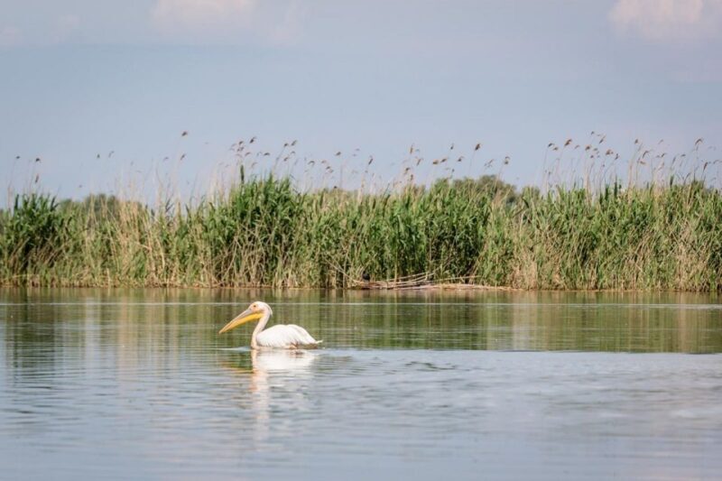 Danube Delta - 2-Day Tour from Bucharest - FAQ