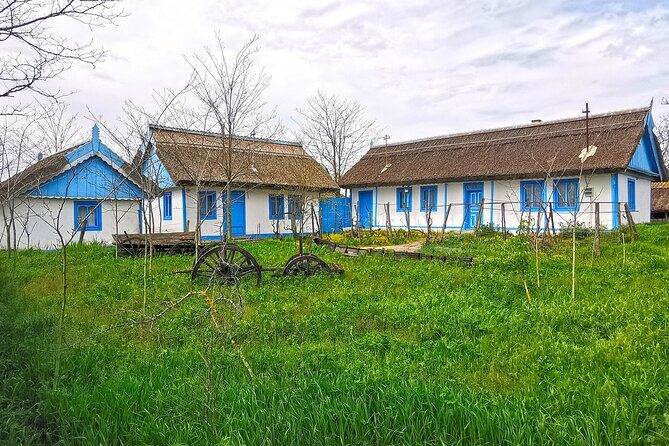 Danube Delta PRIVATE boat trip to Letea Forest (guided tour) - The Full Experience: What to Expect