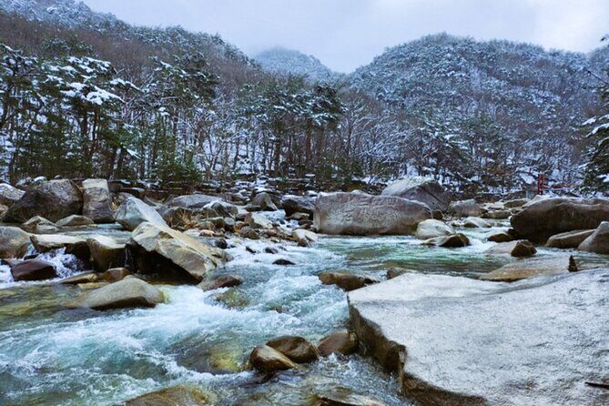 Danyang 1 Day Tour from Busan by KTX(Bujeon or Haeundae station) - The Sum Up