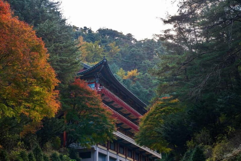 Danyang Tour:Guinsa Temple & Bobaljae & Cheongpung Cable Car - An In-Depth Look at the Danyang Tour