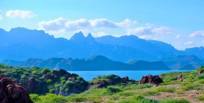 Danzante Island & Snorkel Tour from Villa del Palmar Hotel - The Marine and Bird Life