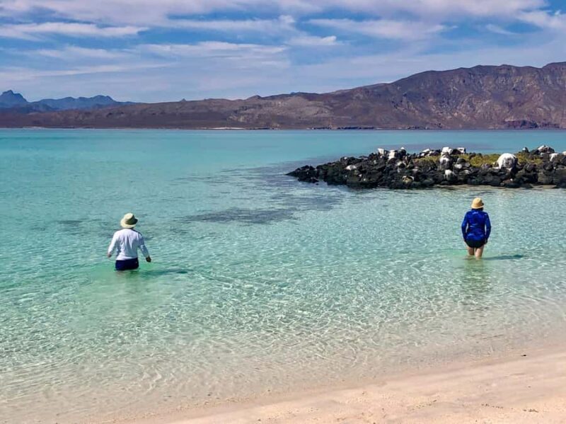 Danzante Island & Snorkel Tour from Villa del Palmar Hotel - The Return and Overall Value