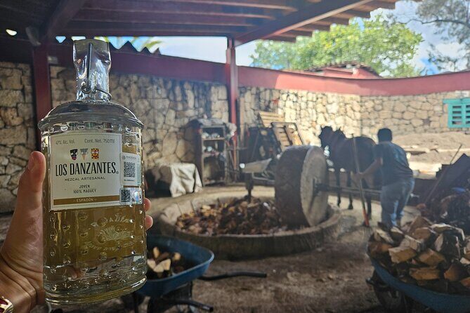 Danzantes Premium Mezcal, Hierve el Agua, Textiles & Lunch - Starting Off from Oaxaca