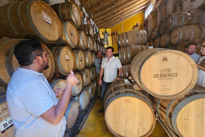 Danzantes Premium Mezcal, Hierve el Agua, Textiles & Lunch - Lunch in the Maguey Fields: A Feast Amidst Nature