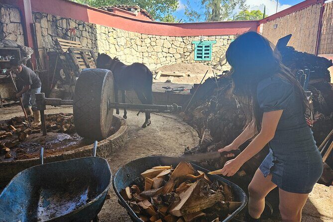 Danzantes Premium Mezcal, Hierve el Agua, Textiles & Lunch - Artisanal Textiles and Chocolate Making in Santiago Matatlán