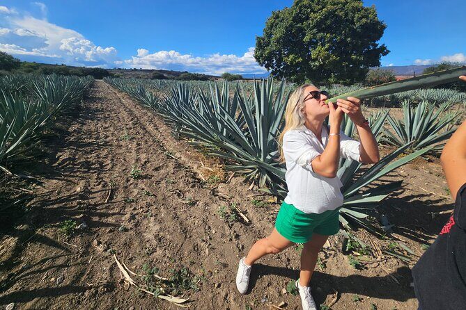 Danzantes Premium Mezcal, Hierve el Agua, Textiles & Lunch - Return and Reflection