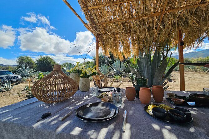 Danzantes Premium Mezcal, Hierve el Agua, Textiles & Lunch - Value and Overall Impression