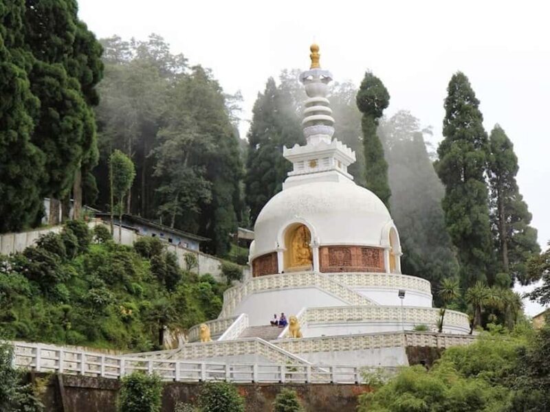 Darjeeling: 4 Day Tour w Tea Garden Visit, transfers & stay - Practical Tips for Future Travelers
