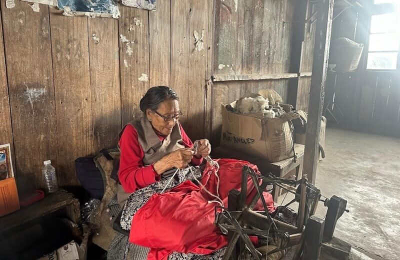 Darjeeling Cultural & Nature Walking Guided Tour - Who Will Most Benefit?