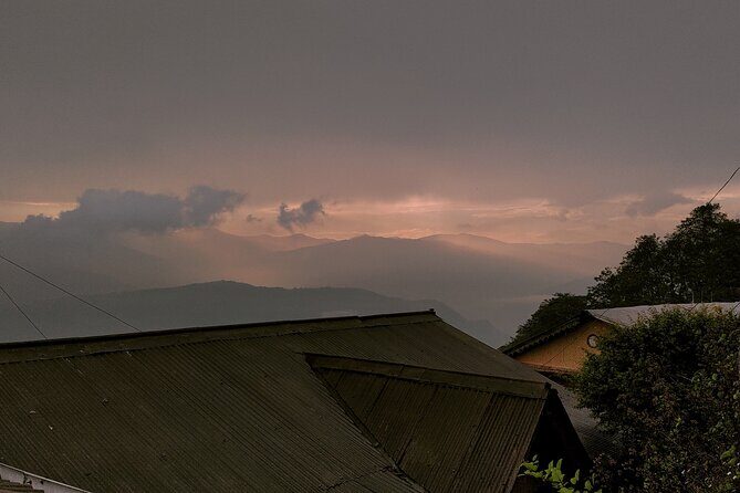 Darjeeling Forests on Foot - Key Points