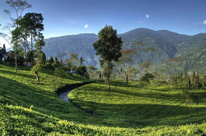 Darjeeling Hills Escape for 3 Nights and 4 Days Private Tour - Final Thoughts