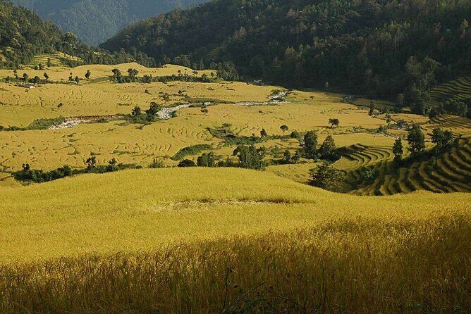 Darjeeling Sikkim Eco Village Tour - Final Thoughts