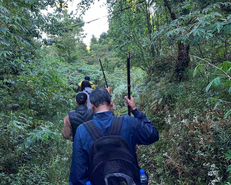 Darjeeling: Tiger Hill Sunrise Hike  Guided Day Trip - The Sum Up